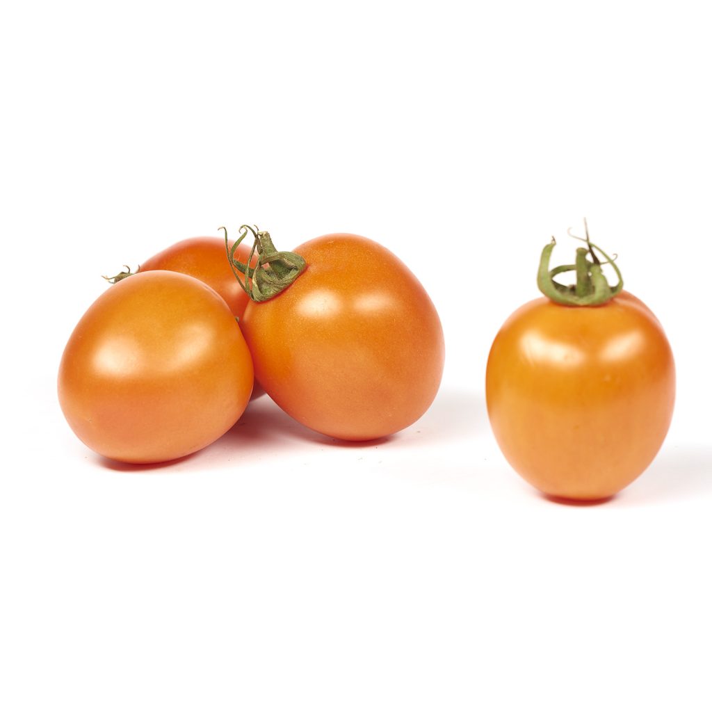 Tomate pera – Hortasol