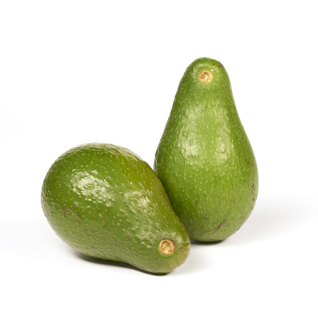 Aguacate – Hortasol